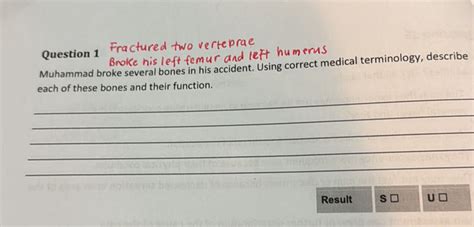 Question 1 Fractured Two Vertebrae Broke His Studyx