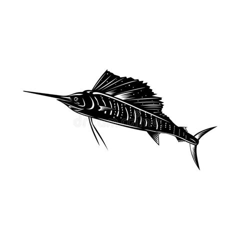 Pesce A Vela Atlantico Che Salta In Bianco E Nero Illustrazione
