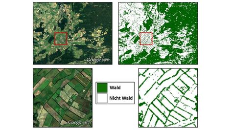 Tandem X Forest Map Southern Germany