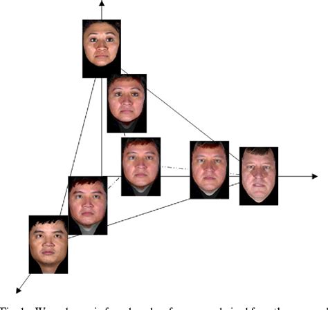 Figure 1 From 3 D Face Recognition Based On Warped Example Faces