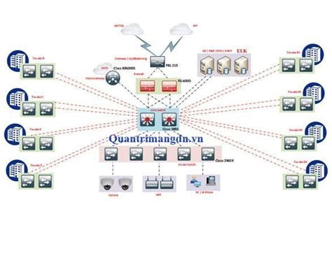 cài đặt và cấu hình nginx php mysql phpmyadmin Đại học không giấy