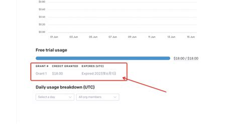 Openai Api Key Not Working Best Solution