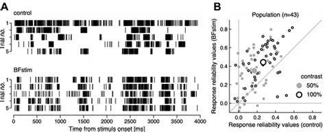 Between Trial Reliability Of Spiking Activity A Raster Plots Display