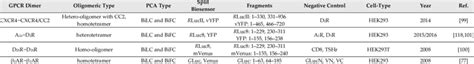 Combinatorial Assays With Bifc And Bilc For Gpcr Oligomerization Purposes Download Scientific