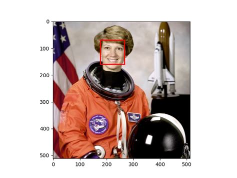 Face Detection Using A Cascade Classifier Skimage V0 19 2 Docs