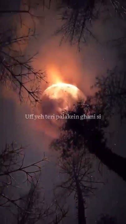 21 July 2025 Youtube