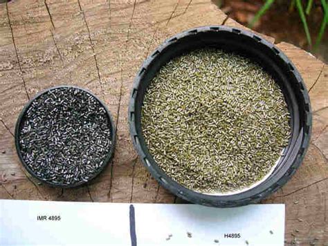 Imr 4896 H4895 The Firing Line Forums