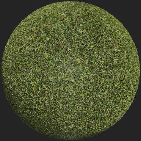 Grass 004 By Cc0 Textures