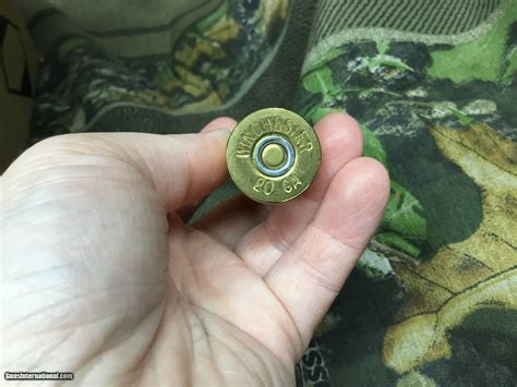 Winchester Super X 20ga 275” 1oz 6 Lead Shot Shells250 Rounds