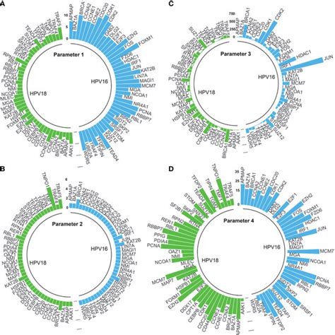 The Circular Bar Graphs Represent The Results Of The Parameters
