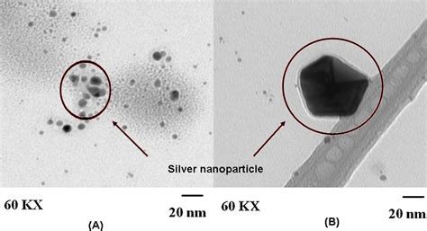 Synthesis Of Colloidal Silver Nanoparticles For Printed Electronics