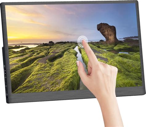 Portable Touchscreen Monitor 116 Inch 1366x768 Led Display Small Touch