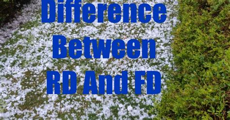 RD और FD म अतर Difference Between RD And FD