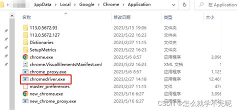 Webdriver初始化如何让selenium跑起来 CSDN博客
