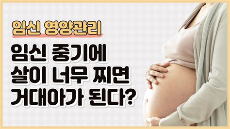 임신영양관리 임신 중 살이 많이 찌면 거대아가 된다는 말 사실일까ㅣ중기 영양관리에 대해 🤰🏻 Youtube