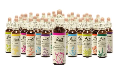 Fleurs De Bach Artofit
