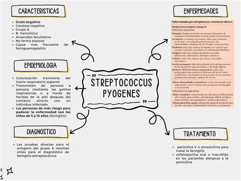 streptococcus pyogenes snoopymed udocz