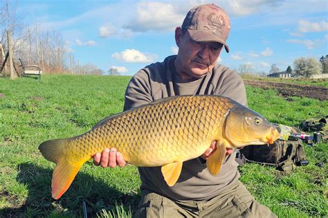 Common Carp 50 Kg Specimen Baits