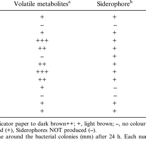 the production of volatile metabolites and proteases by pseudomonas