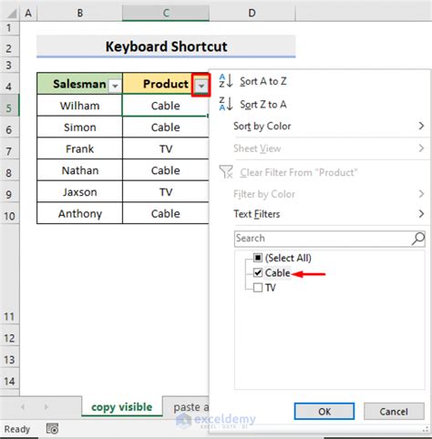 How To Copy And Paste In Excel When Filter Is On 5 Methods
