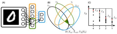 Entropy Special Issue Signal And Information Processing In Networks