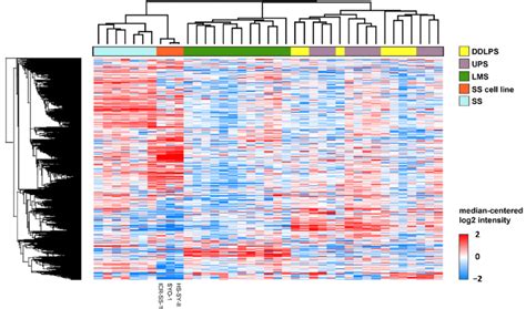 Heatmap Displaying Hierarchical Clustering Of Proteomic Data From