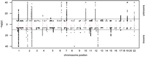 Manhattan Plot Of Genetic Association The Strength Of Association For