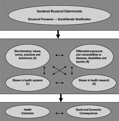 Framework For The Role Of Gender As A Social Determinant Of Health