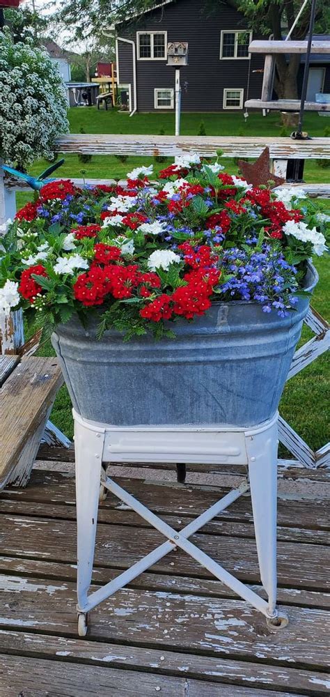 Colorful Flower Pot Arrangement