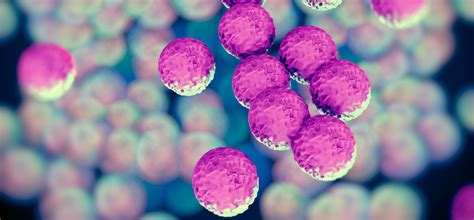 Mrsa Precautions 7 Ways To Prevent Infection Crime Scene Cleanup