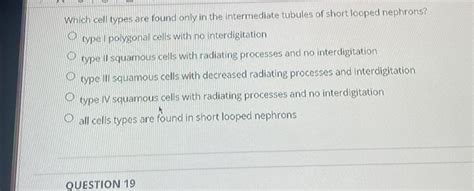 Solved Which Cell Types Are Found Only In The Intermediate