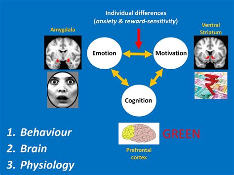 brain computation and data science