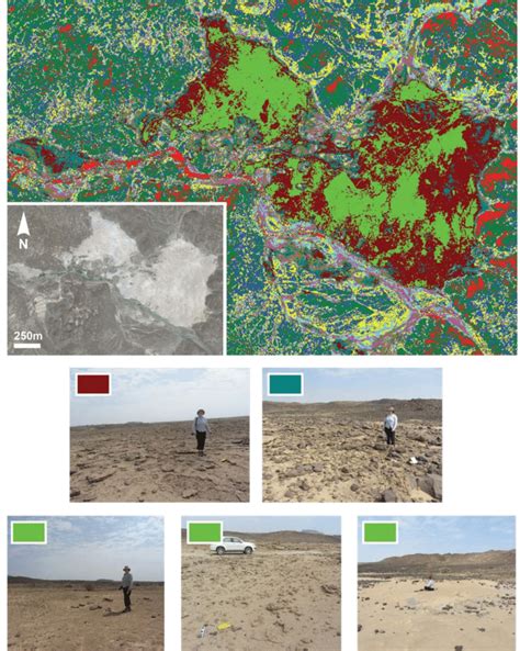 Map Of Surface Sediment Classes Identified Through The Unsupervised Download Scientific Diagram