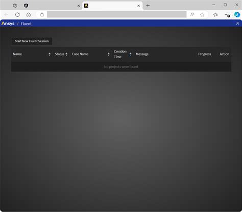 39 3 Accessing The Fluent Web Interface Through The Ansys App Portal