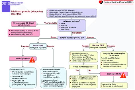 Ventricular Fibrillation Algorithm
