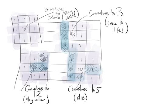 Evolving Game Of Life Neural Networks Chaos And Complexity By Tom Grek Medium