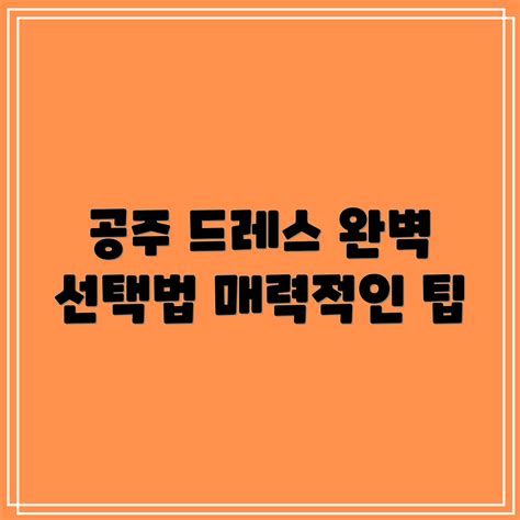 디즈니 공주 드레스 완벽한 선택 가이드
