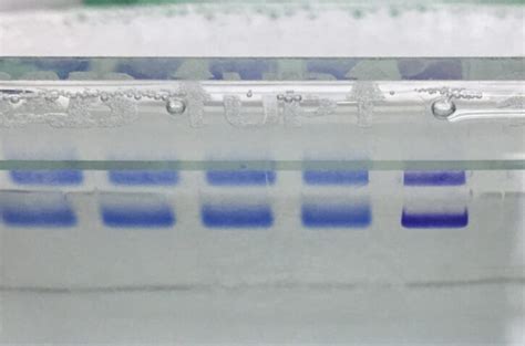 Loading And Running Buffer NIPPON Genetics EUROPE