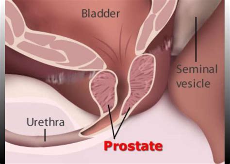 How Do I Have A Prostate Orgasm Best Sale