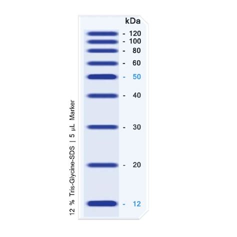 Tiaris™ Unstained Protein Marker Tiaris Biosciences S L