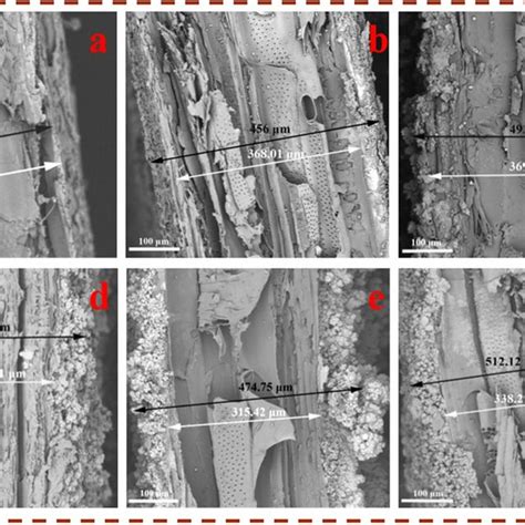 Interface Diagram Of Composites At Different Time During Electroless Download Scientific