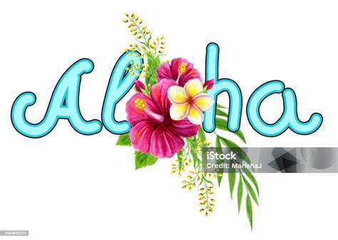 알로하 표지판 하와이 인사말 흰색 배경에 고립 된 중국 히비스커스 장미 꽃과 야자수 잎으로 손으로 그린 수채화 그림 열대 꽃