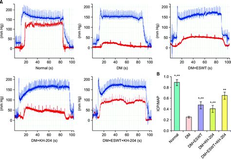 Intracavernosal Pressure Icp Icpmean Arterial Pressure Map Of Download Scientific Diagram