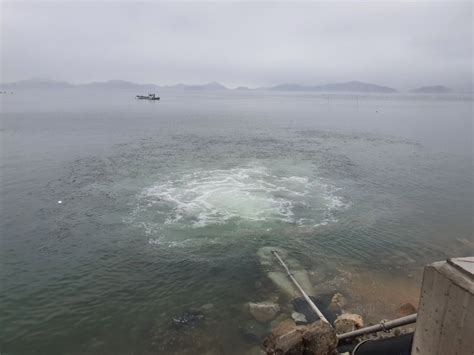 Linkedin 김kim선웅seonwoong 페이지 소수력 발전소를 본격적으로 시공하고 운영을 시작 했습니다 태양광발전시장이 한국에서 위축되고 있는 상황에서 틈새