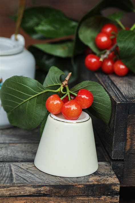 新鲜水果 樱桃 雪子猴 站酷zcool