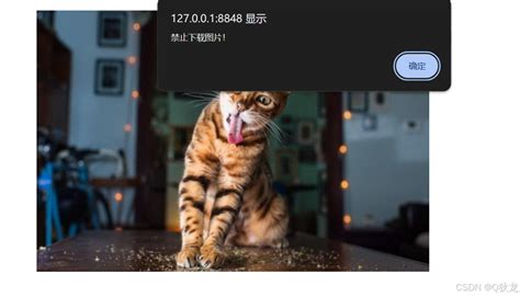 第十章 Javascript的应用 章节练习 Csdn博客