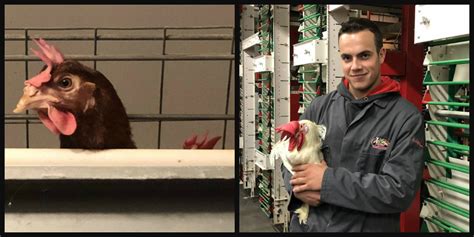 Marcel Laviolettes Instagram Twitter And Facebook On Idcrawl