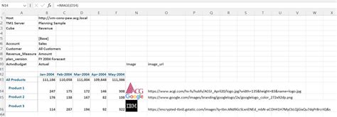 Adding Images To Planning Analytics For Excel Pafe Views