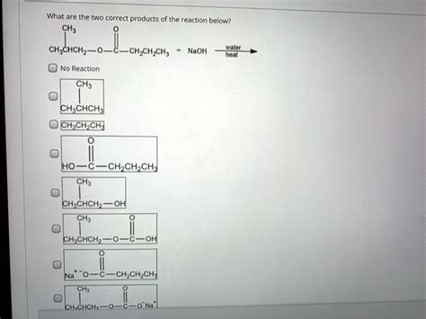 SOLVED What Are The WO Correct Products Of The Reaction Below CH Malol Heat CHJCHCHz CHCH CH