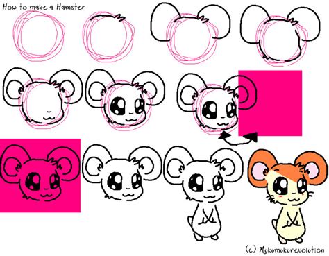 Hamster Tutorial By Mukumukurevolution On Deviantart